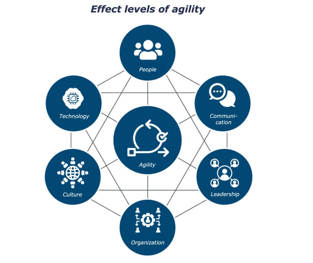 Agility | | Consileon