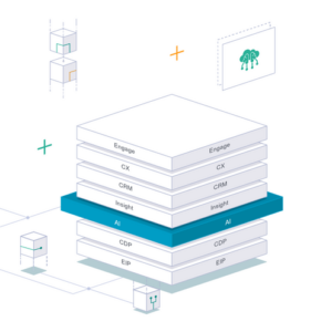 BSI Customer Suite - Consileon Business Consultancy GmbH | Management ...