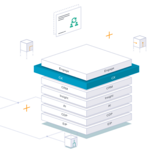 BSI Customer Suite - Consileon Business Consultancy GmbH | Management ...